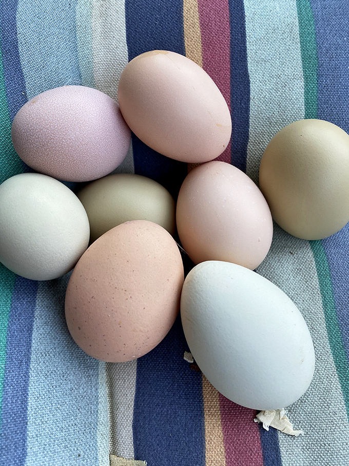 Farm-fresh rainbow of eggs that make your supermarket carton look like it needs to step up its game immediately.