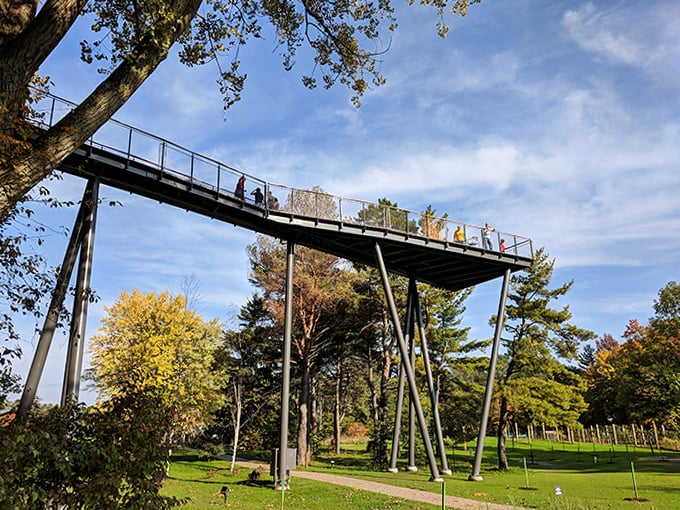 The walkway bustles with explorers of all ages, proving that treetop adventures appeal to everyone from toddlers to grandparents.