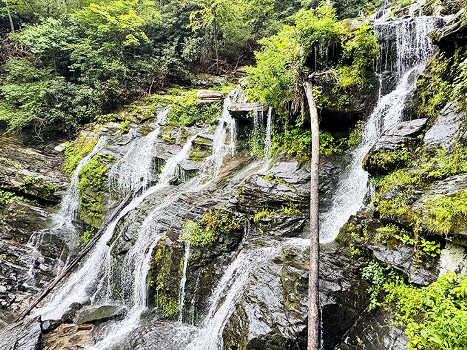 This lush, mossy cascade is nature's hidden summer retreat. That cool, fresh water is waiting for your peaceful visit!