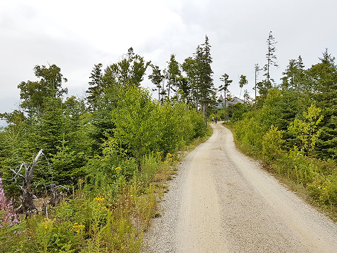 This inviting path practically begs for exploration, promising the best kind of getting lost – the temporary, soul-finding kind.
