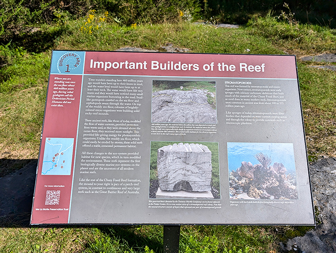 This sign explains how ancient reef-builders created underwater metropolises long before humans built their first mud hut.