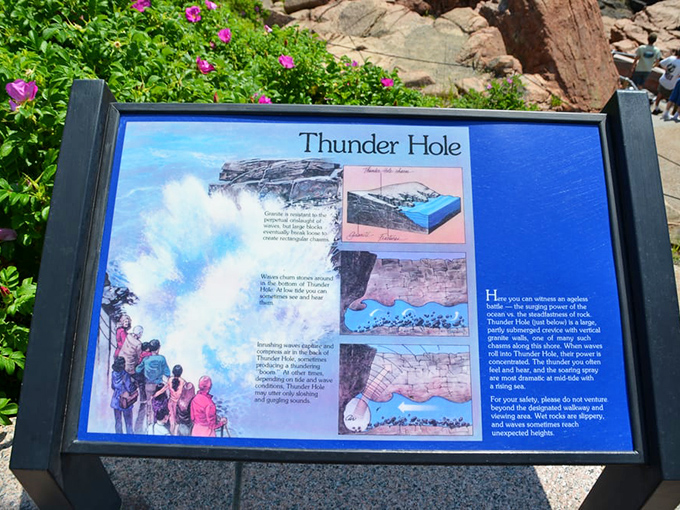 This sign explains the science behind the spectacle &ndash; because sometimes understanding how the magic works makes it even more magical.