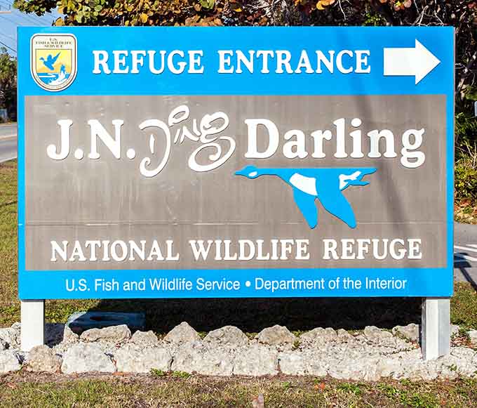 Your official invitation to one of Florida's best-kept secrets, where admission is cheap but the memories are priceless.