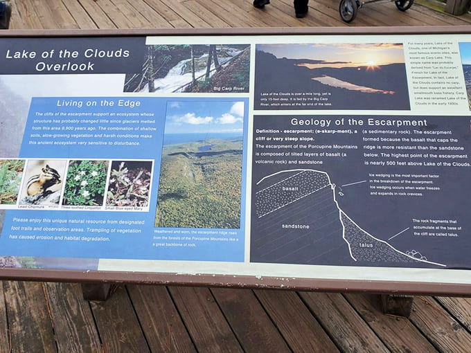 These information boards prove that knowing the story behind the scenery makes the view even sweeter, like subtitles for nature's greatest show.