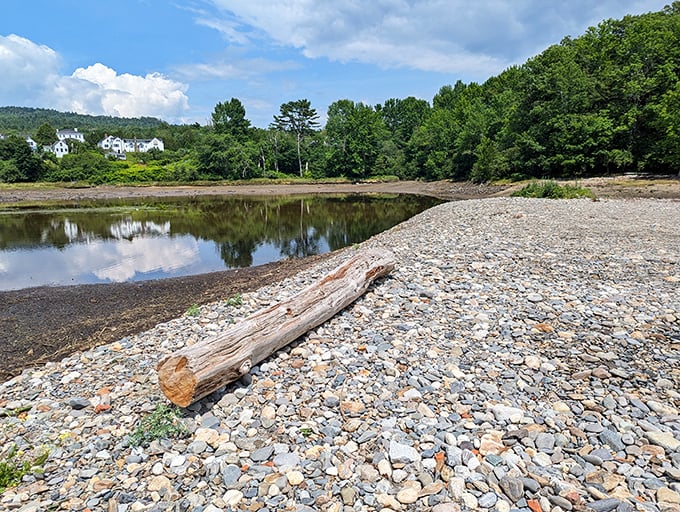 Shoreline serenity: Smooth stones and gentle waters create nature's most peaceful border between land and sea.