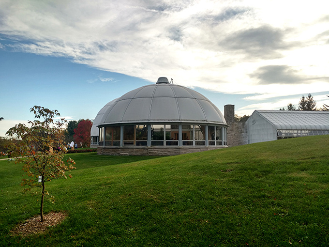 This botanical spaceship houses its own climate system, where tropical treasures thrive while Michigan's weather does whatever Michigan weather decides to do outside.