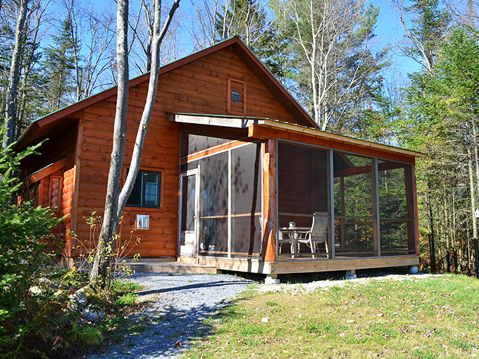 Modern cabins tucked into Ripton's landscape offer contemporary comfort without sacrificing that essential Vermont connection to nature that draws visitors back season after season.