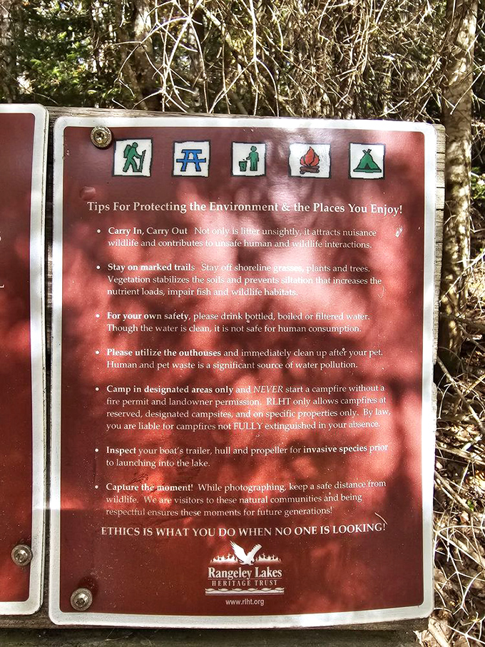 Trail etiquette signs gently remind us that we're guests in this natural sanctuary, where our footprints should be light and temporary.