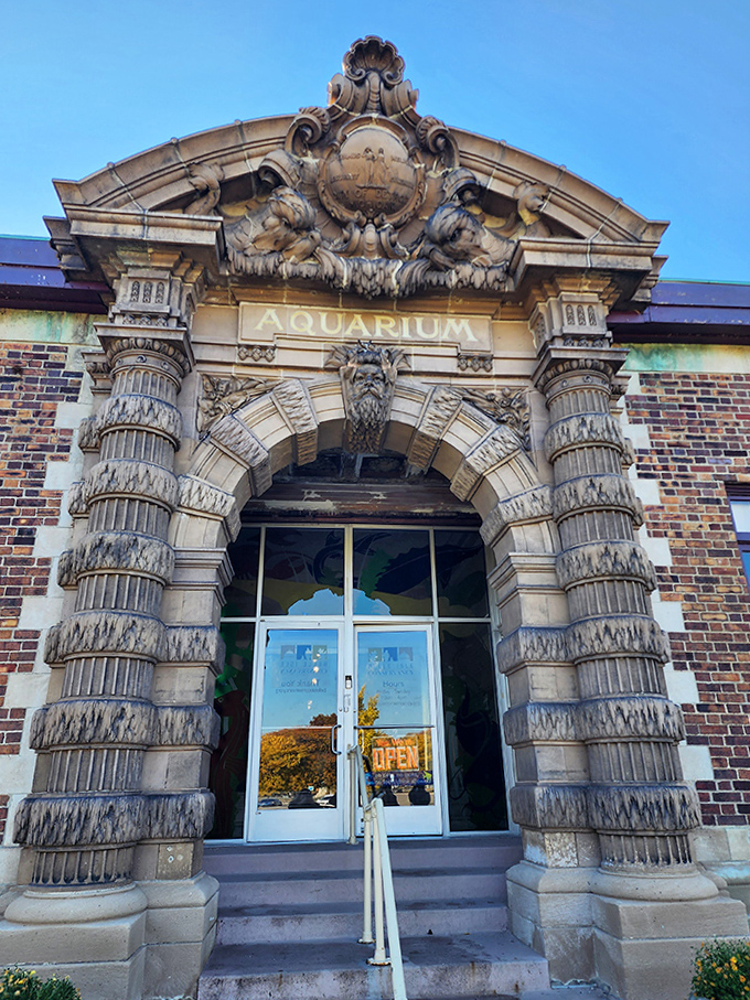 Stone Neptune and aquatic motifs guard the entrance like bouncers at an exclusive underwater club that's been running since 1904.
