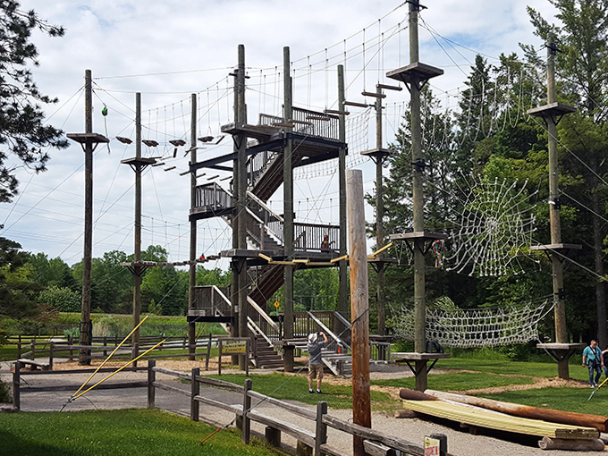 Adventure awaits! The ropes course challenges visitors to channel their inner monkey with style.