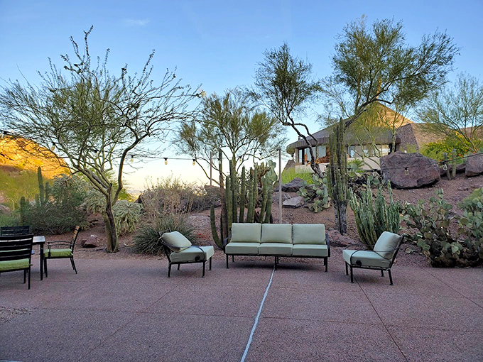 Desert-inspired outdoor seating areas blend seamlessly with the natural landscape, offering quiet moments among saguaros and palo verdes.