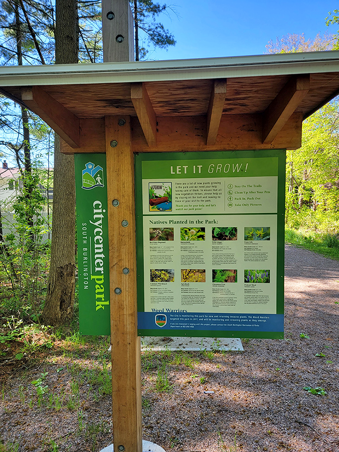 "Let it GROW!" The park's educational signage transforms casual walks into enlightening journeys through Vermont's native plant communities.