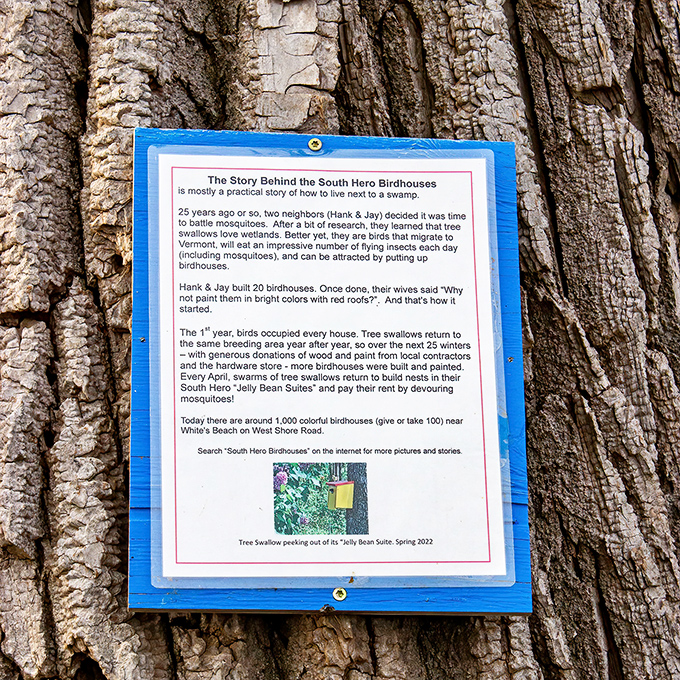 The origin story revealed: How two neighbors' practical solution to mosquitoes evolved into Vermont's most colorful bird sanctuary.
