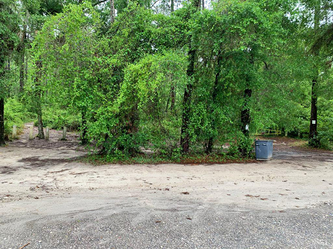 The simple parking area serves as civilization's final outpost before adventurers disappear into the embrace of Florida's wild forest.