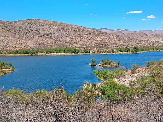Blue water meeting desert hills creates a landscape that shouldn't exist but absolutely does.