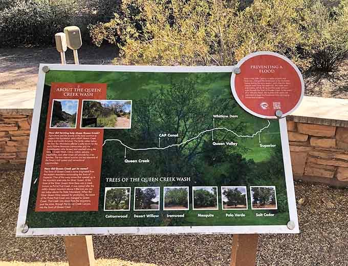 Informational signs educate visitors about the local ecosystem, because learning and walking can definitely happen simultaneously.