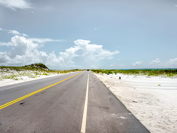 The sandy coastal road stretches toward the horizon, where the only traffic jam might involve a family of shore birds.