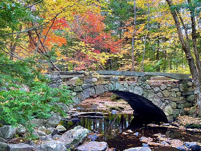 Fall's fiery display frames the tranquil waters, creating a scene so perfectly Maine it should be on license plates and postcards.