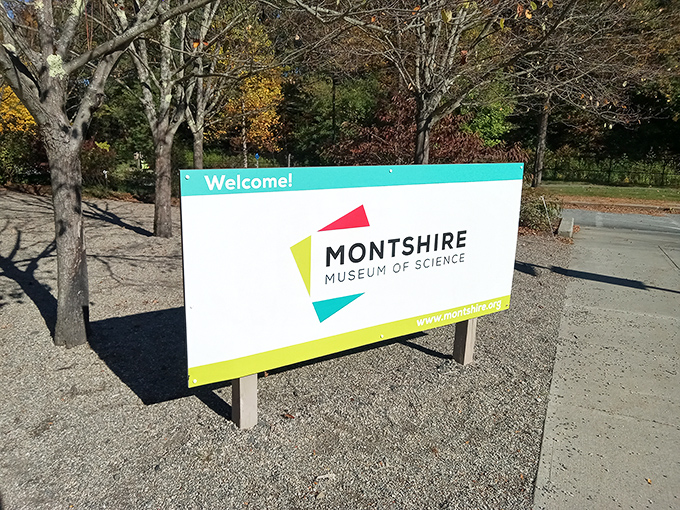This unassuming sign marks the entrance to a world where curiosity reigns and learning happens through play and exploration.