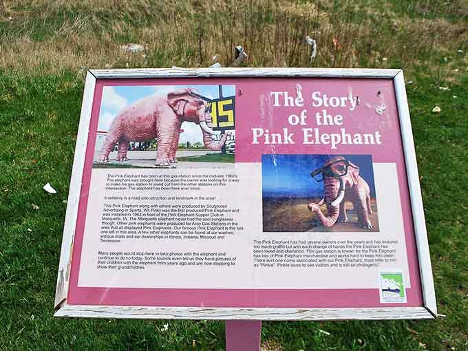 The story plaque explains Pinkie's history, though honestly, the elephant's presence speaks volumes all on its own about American roadside creativity.