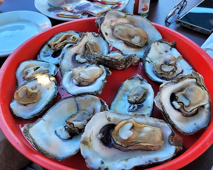 Fresh oysters glistening in their shells &ndash; briny treasures from the sea that need nothing more than a squeeze of lemon and a moment of appreciation.