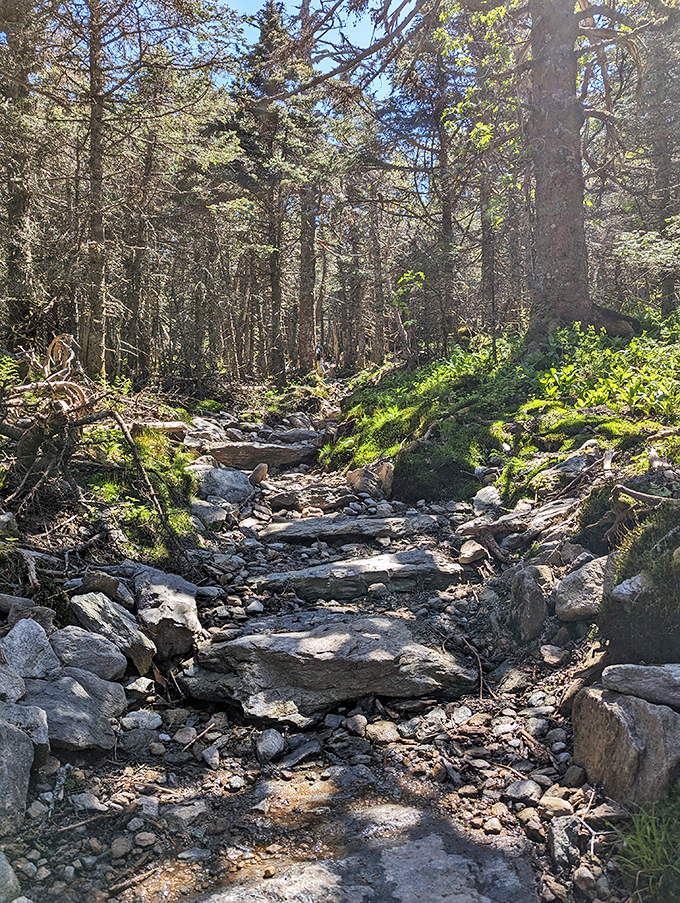 Nature's obstacle course &ndash; where each step brings you closer to views that make your smartphone camera feel wholly inadequate.