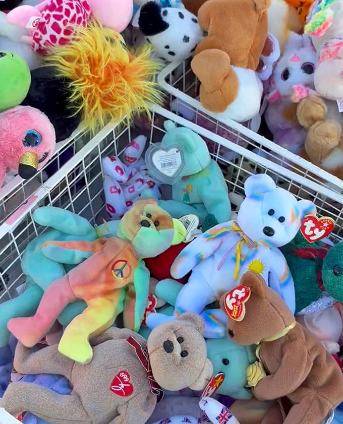 Beanie Babies galore&mdash;your '90s nostalgia just called, and it wants you to complete that collection you abandoned.