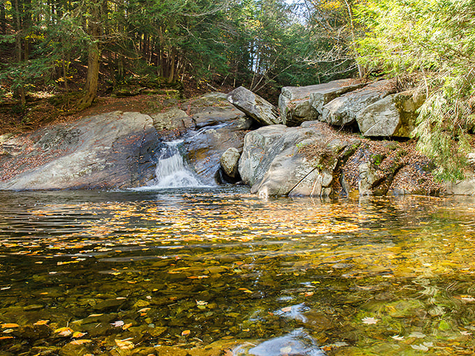 Seasonal splendor: even as leaves begin to turn, the timeless appeal of Pikes Falls continues to draw those seeking nature's perfect swimming hole.