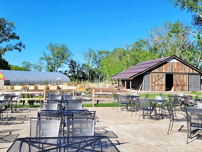 Outdoor seating that lets you enjoy your meal surrounded by Michigan's natural beauty, because sometimes the best dining room has no roof.