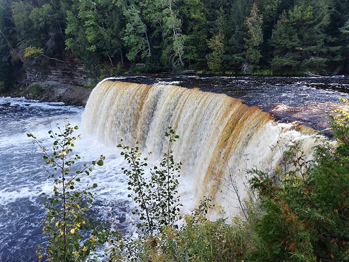 The majestic Tahquamenon Falls cascades in amber glory &ndash; tannin-rich waters create nature's perfect appetizer before heading to the nearby brewery.