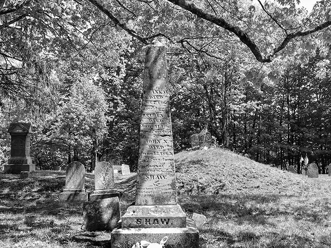 This towering obelisk commemorates a prominent citizen, its weathered inscription telling a story of accomplishment now fading into history.