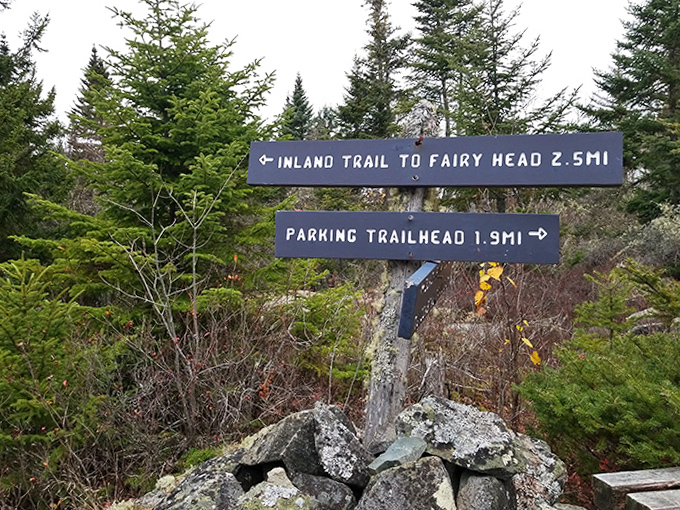 Decision time: These weathered trail signs have pointed thousands of hikers toward unforgettable views, like nature's own choose-your-own-adventure book.