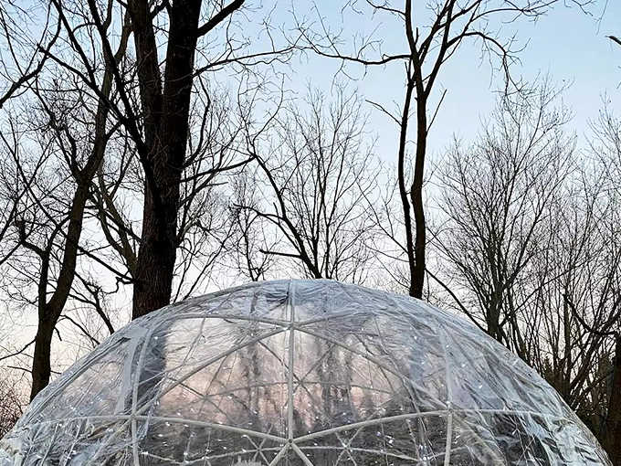 Bare winter trees create nature's perfect backdrop for the dome, their intricate branches contrasting with the structure's geometric precision.