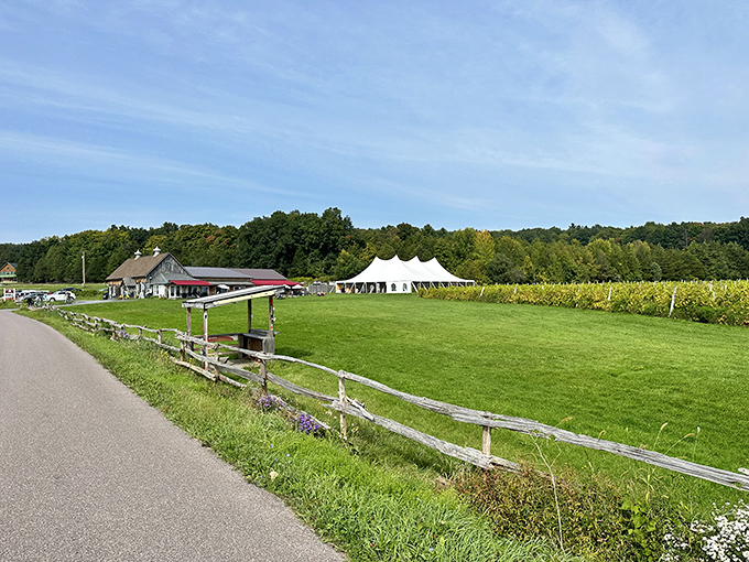 Farmland meets recreation along the trail – Vermont's agricultural heritage visible just steps from the causeway.