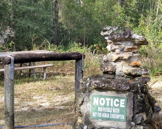 Even the water fountains have character here &ndash; this stone creation looks like it might have been built by woodland elves.