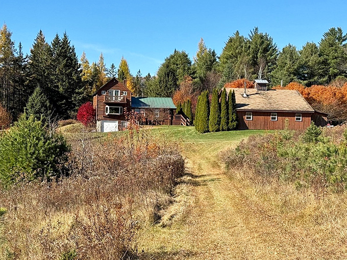 Rustic cabins nestled among Vermont's forests offer the perfect retreat from modern chaos, with paths that lead to both adventure and tranquility.