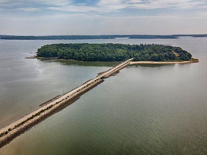 Aerial majesty: Mackworth Island sits like a green jewel in Casco Bay, connected to shore by its slender causeway.