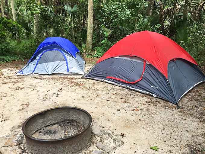 Camping here means waking up steps away from crystal-clear springs, which beats a hotel continental breakfast by roughly a million percent on the vacation scale.