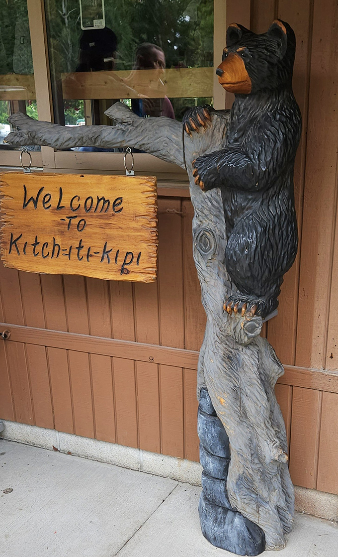 A carved bear welcomes visitors to Kitch-iti-kipi with the kind of rustic charm that perfectly sets the stage for this natural wonder.