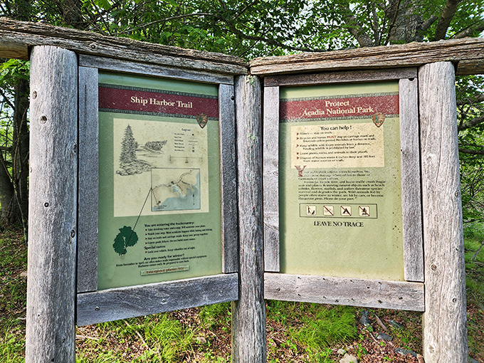 The informational signage offers insights without information overload &ndash; just enough knowledge to enhance your natural experience.