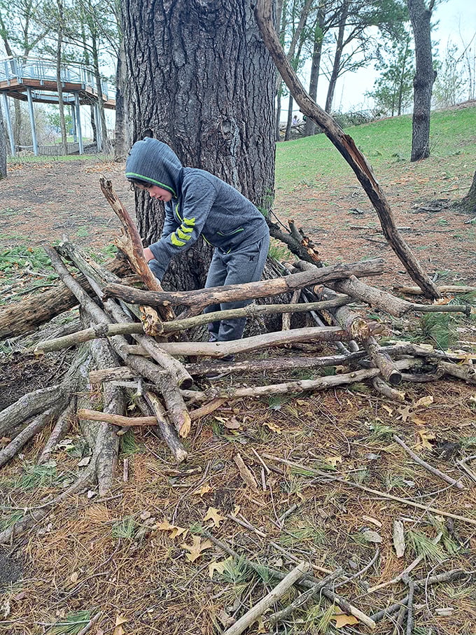 Fort-building in progress &ndash; where sticks and imagination combine to create childhood hideaways worthy of Robinson Crusoe.