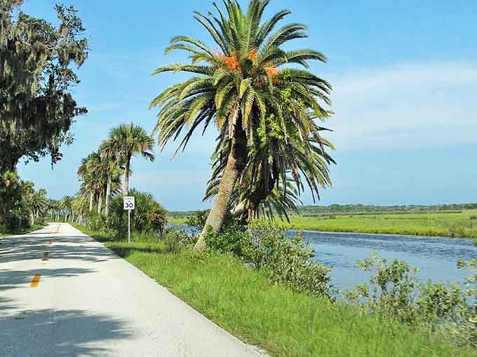 Stately palms stand sentinel along waterways, their fronds rustling in the coastal breeze like nature's own applause for this spectacular scenery.