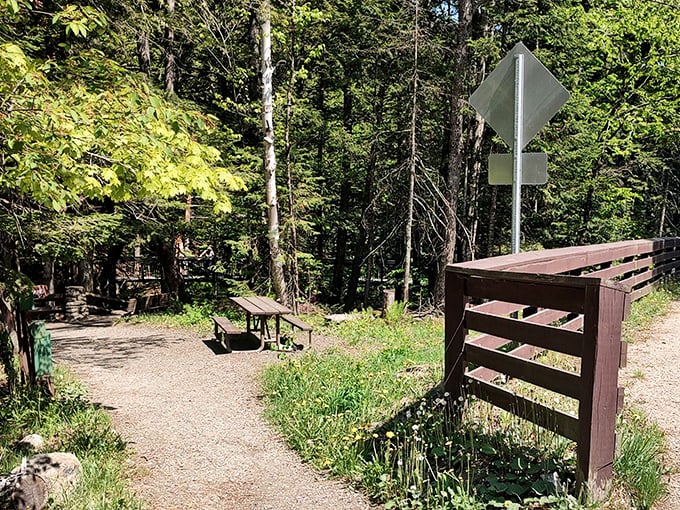A quiet picnic spot sits beside the trail, offering visitors a peaceful rest in Vermont&rsquo;s forest beauty.