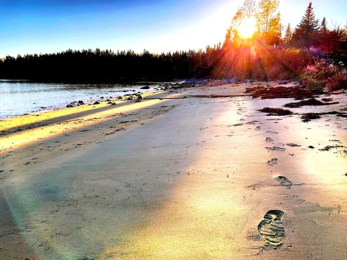 Golden hour footprints: Just steps from your nautical nest, pristine shores await with the promise of solitude and discovery.