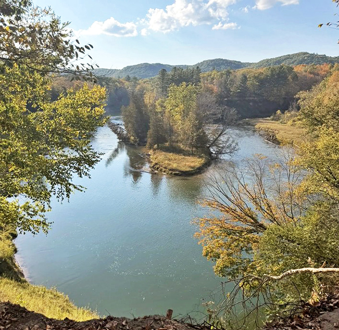 The river creates its own island, a perfect circle of wilderness surrounded by flowing water &ndash; nature's version of social distancing.