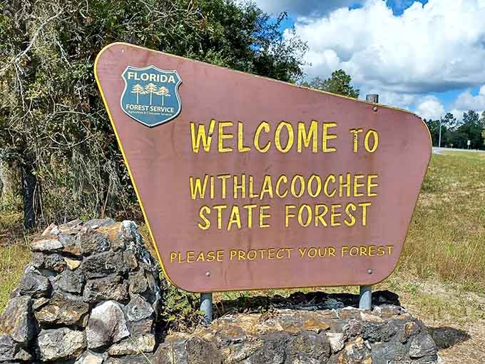 The welcome sign marks the beginning of something special, though the real welcome comes from the forest itself once you start exploring.