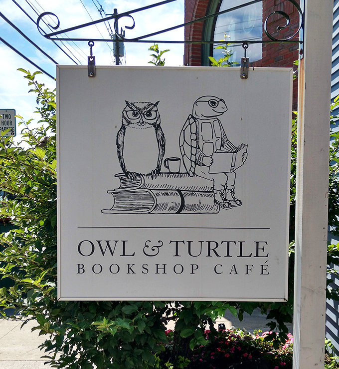 This isn't just a sign—it's a promise of the perfect partnership between wisdom (the owl) and patience (the turtle).