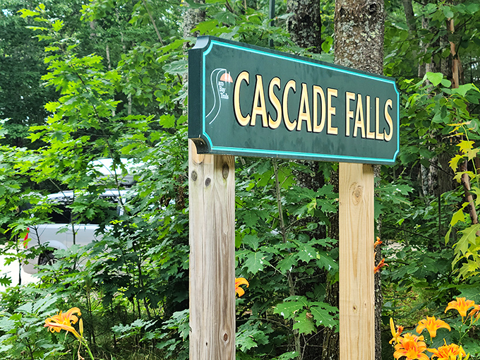 The welcoming sign stands amid summer greenery, promising natural wonders just beyond the entrance to this hidden Maine gem.