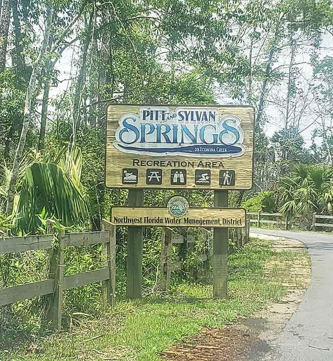 Gateway guardian: This weathered sign stands as a humble introduction to one of Florida's most spectacular natural water features.