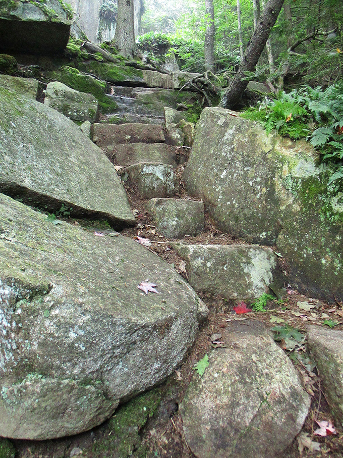 Ancient stone stairway these moss-covered steps, carved by trail builders of yesteryear, have guided countless adventurers toward Ascutney's summit.